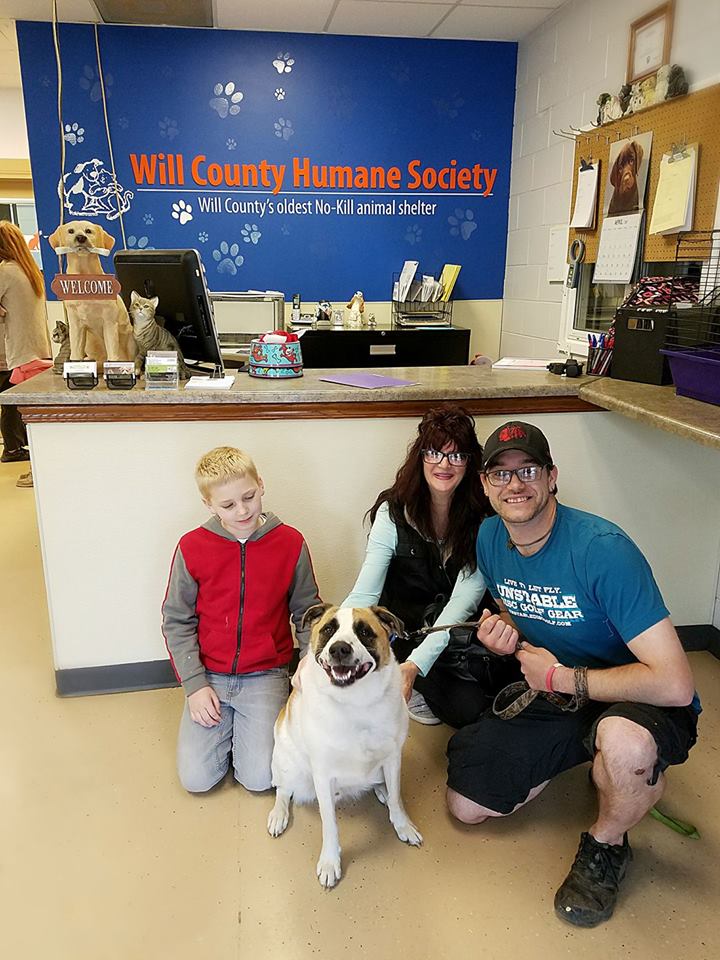 Riley – Will County Humane Society