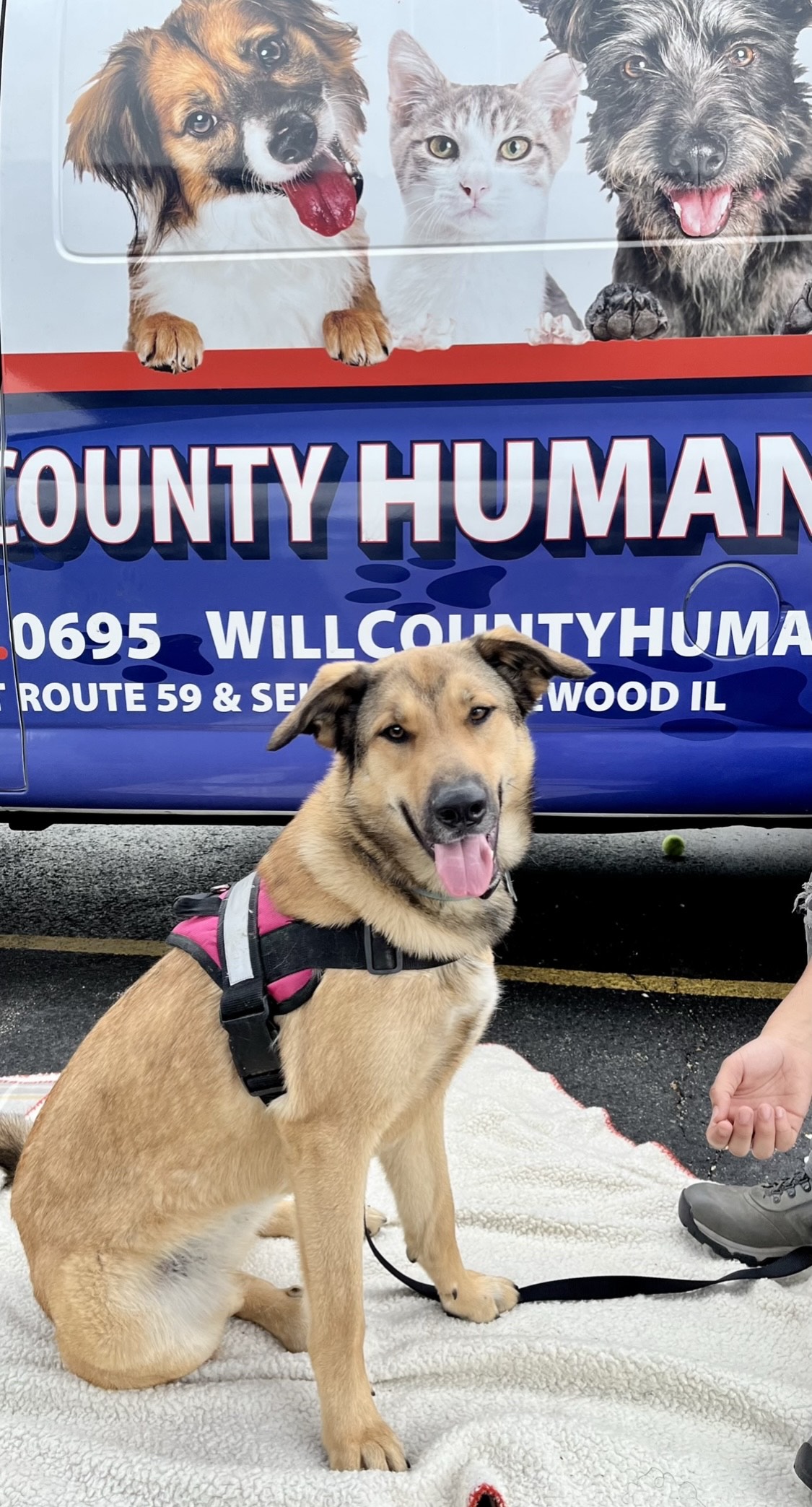 Recent Events – Will County Humane Society
